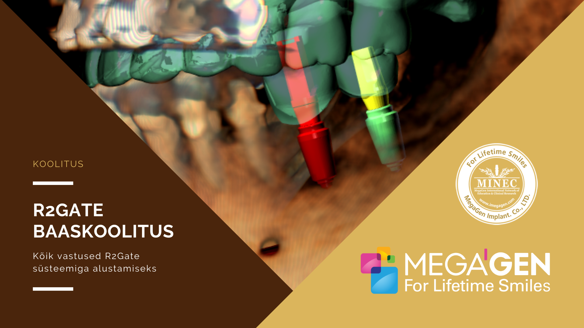 Koolitused — MINEC Eesti