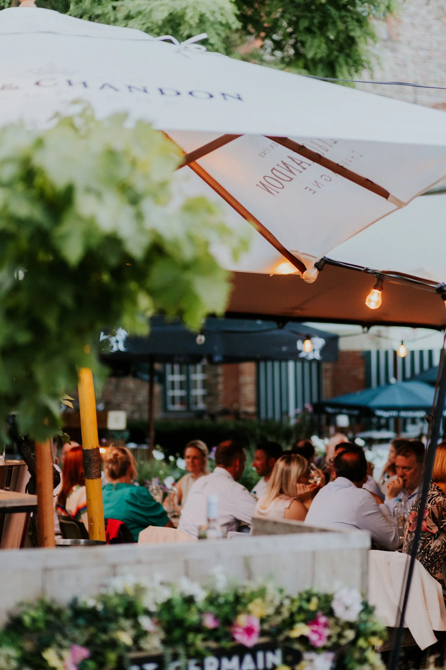 Hospitality — Lio's Brugge