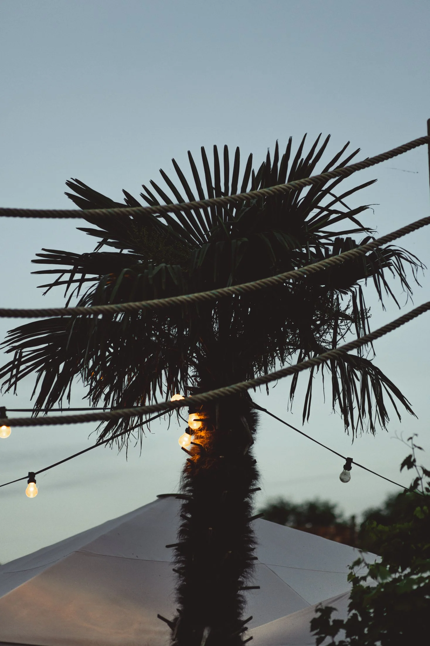 Terrace — Lio's Brugge