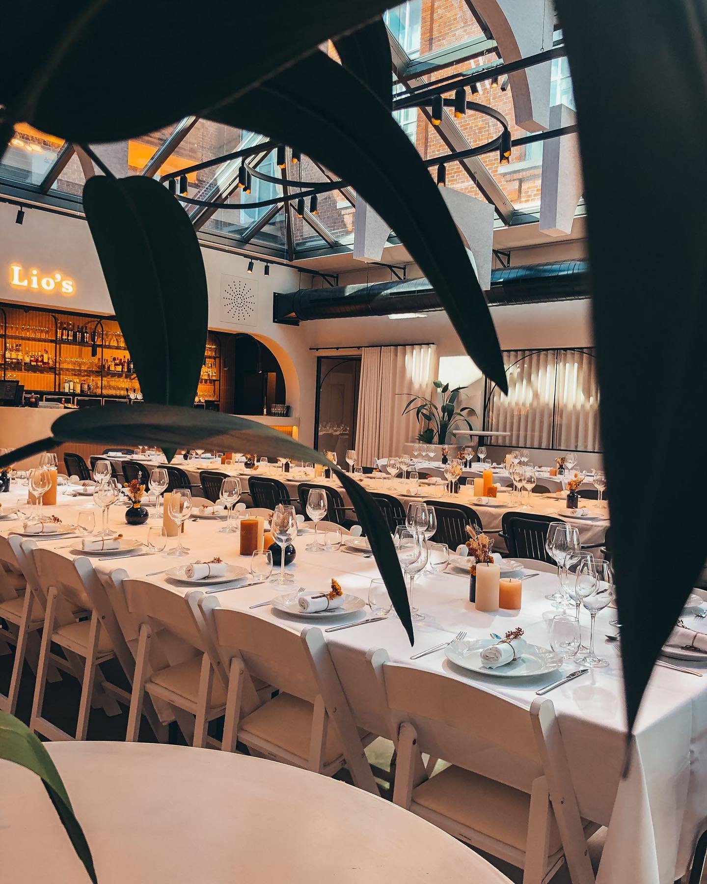 Hospitality — Lio's Brugge