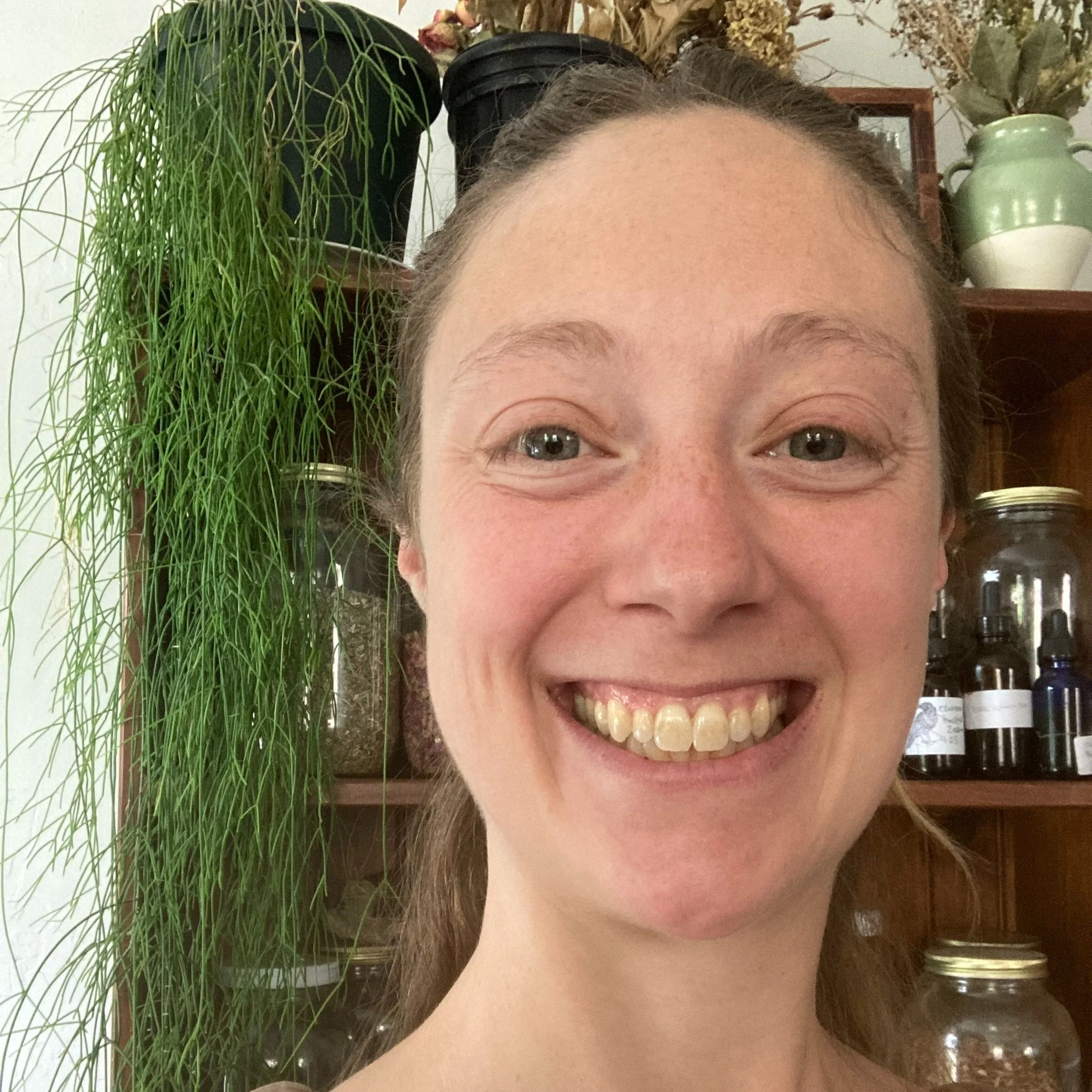Find a Midwife — Association of Independent Midwives of Maryland