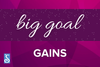 Big Goal Gains — Soroptimist Blog