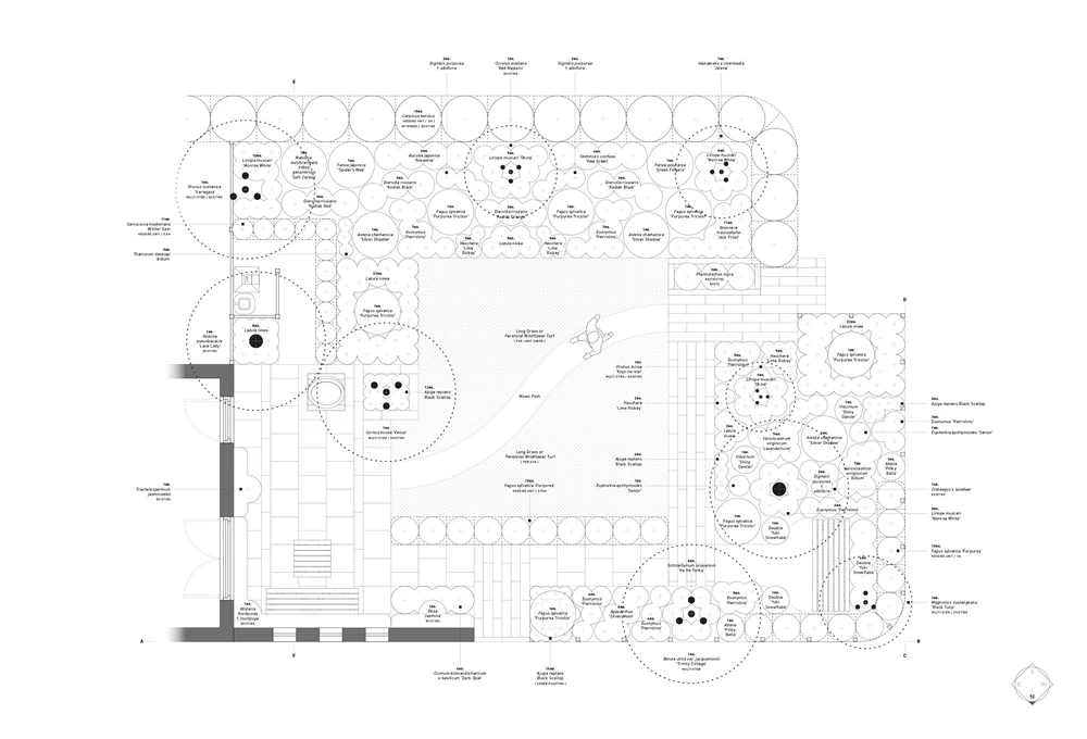 Spatial Garden Design | Beckenham | Planting Design