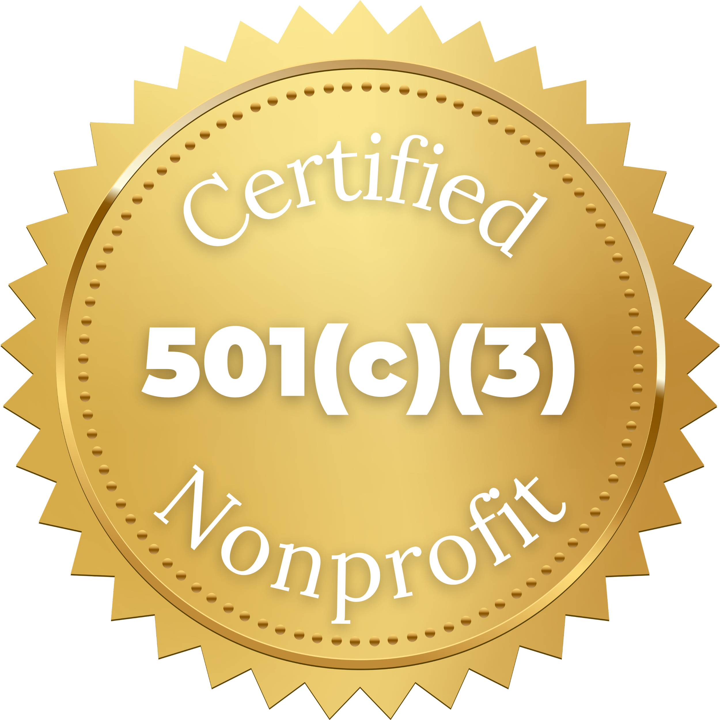 Give Now — Free The Girls