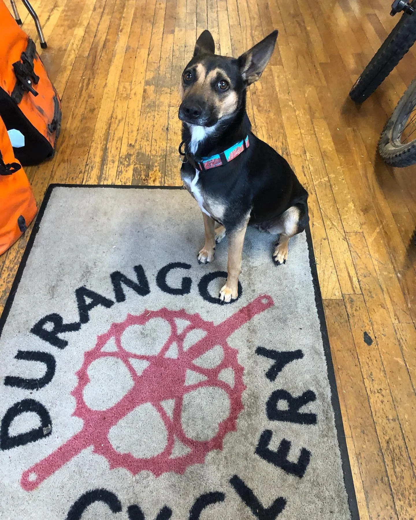 Durango Cyclery
