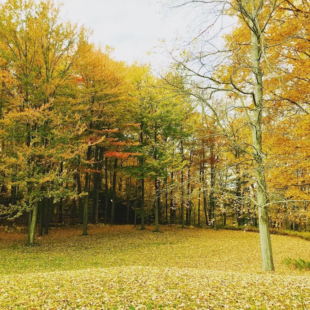 Board of Directors — Camphill Ontario