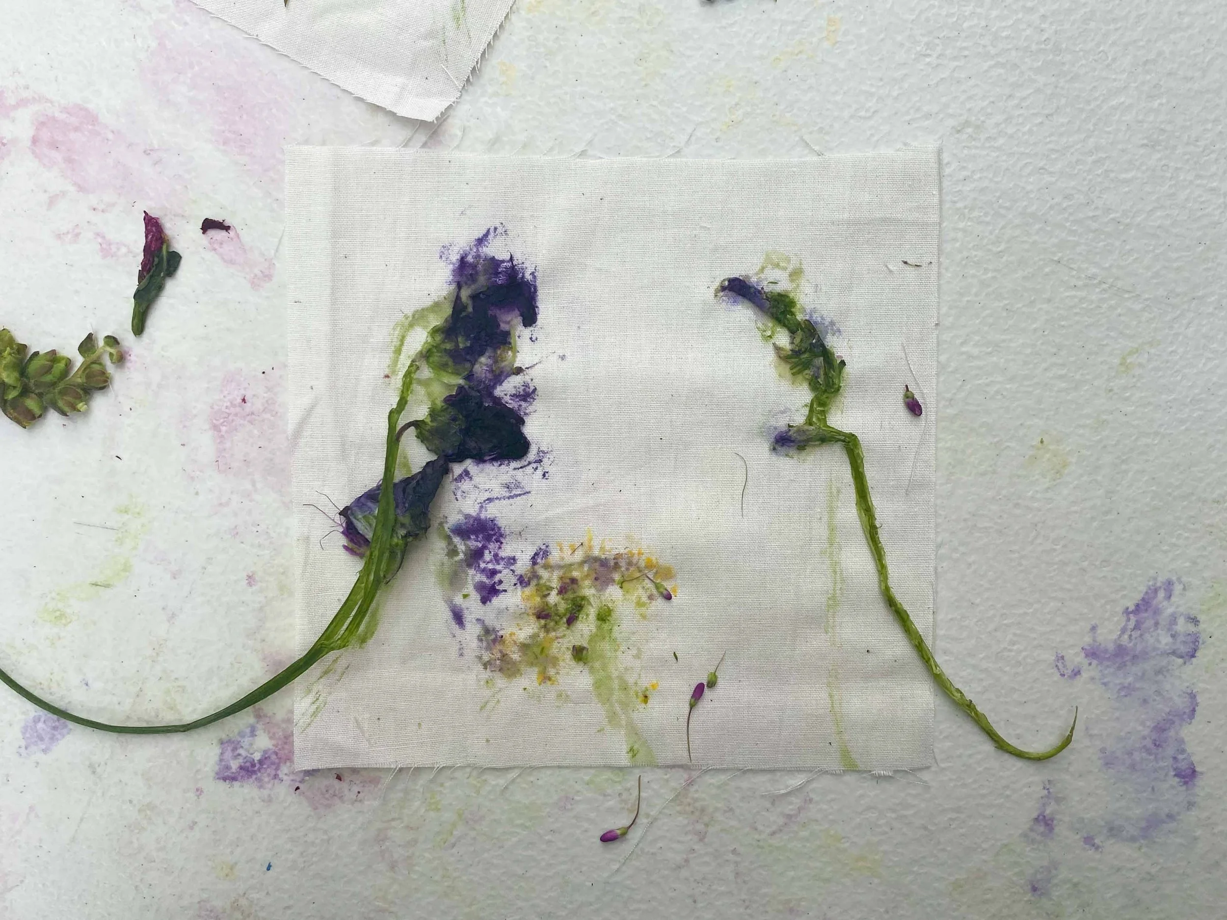 natural dyeing with flower pounding — Thread Rose Crafts