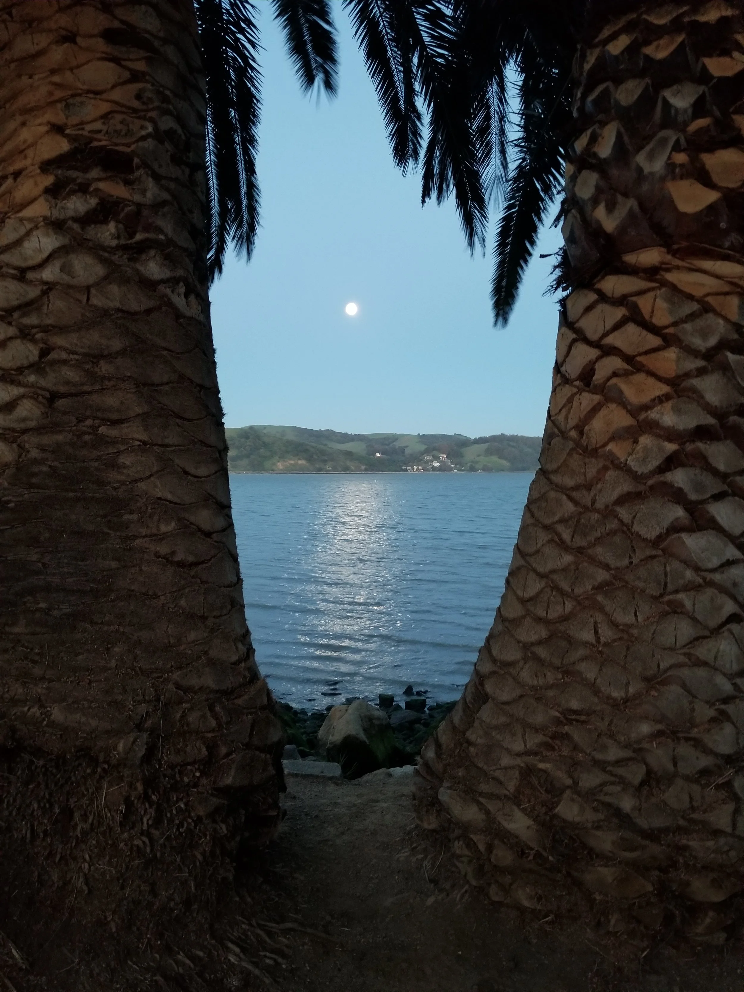 Meet Kim Kane at Whisper of Trees Wellness — Whisper Of Trees Wellness