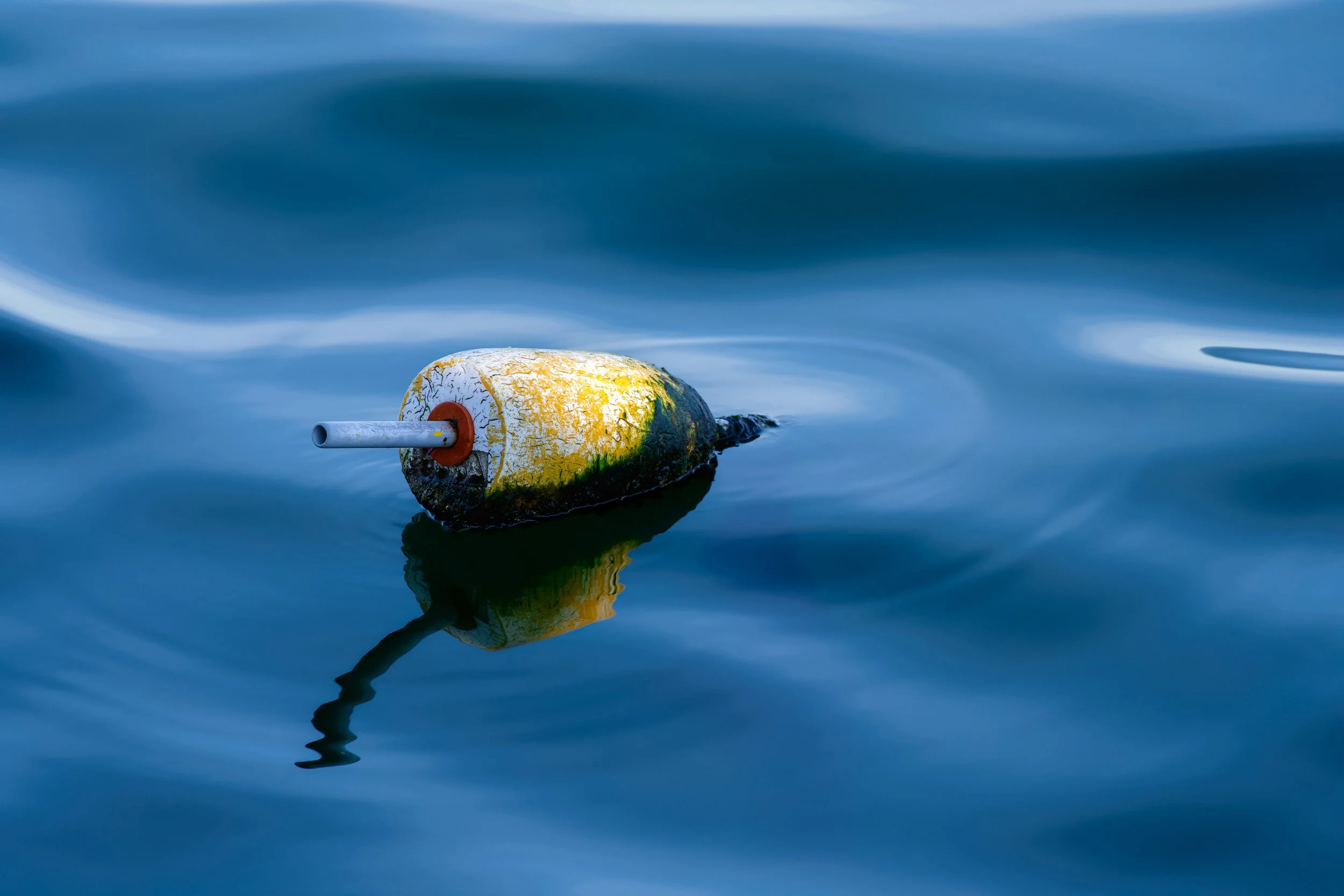 My Left Eye Photography