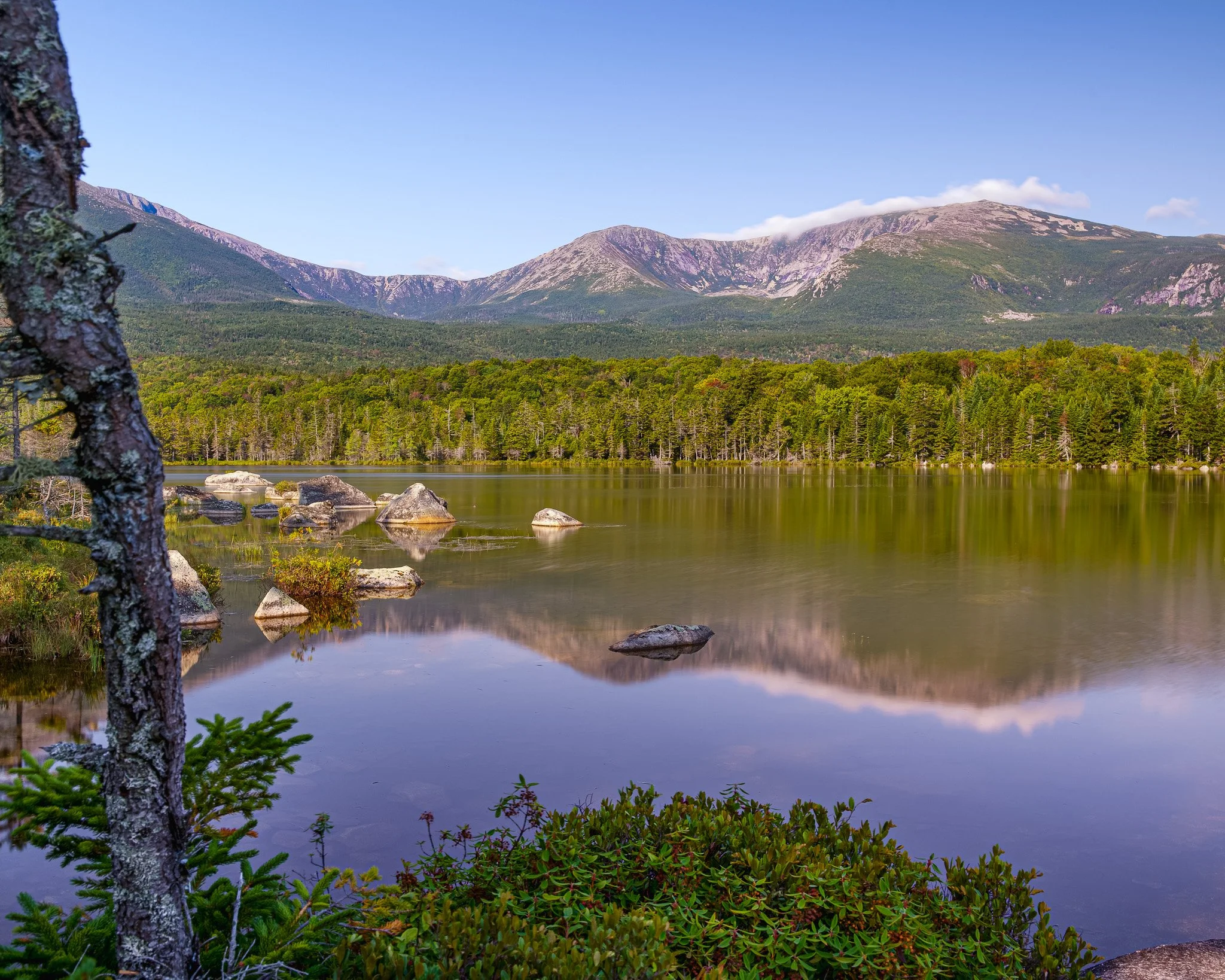 My Left Eye Photography