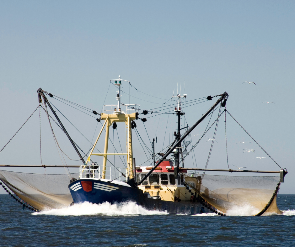Bycatch in Southeast Alaska: Trawlers and the Fast-Food Connection ...