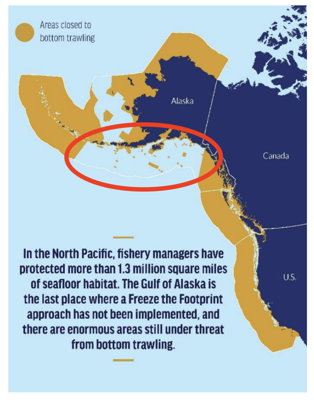 Bycatch in Alaska: Part II - A Petition to Protect Alaska’s Seas — The ...