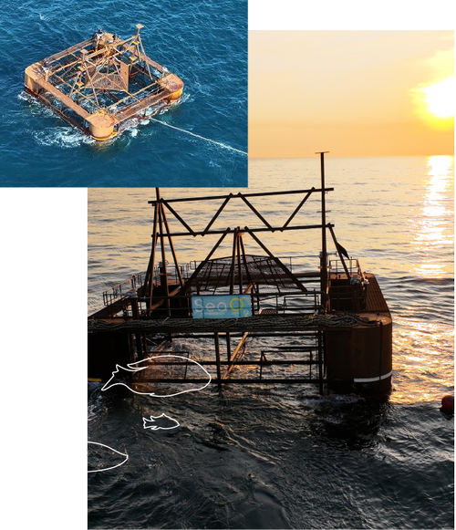 Forster and Terrigal Artificial Reefs — SeaO2