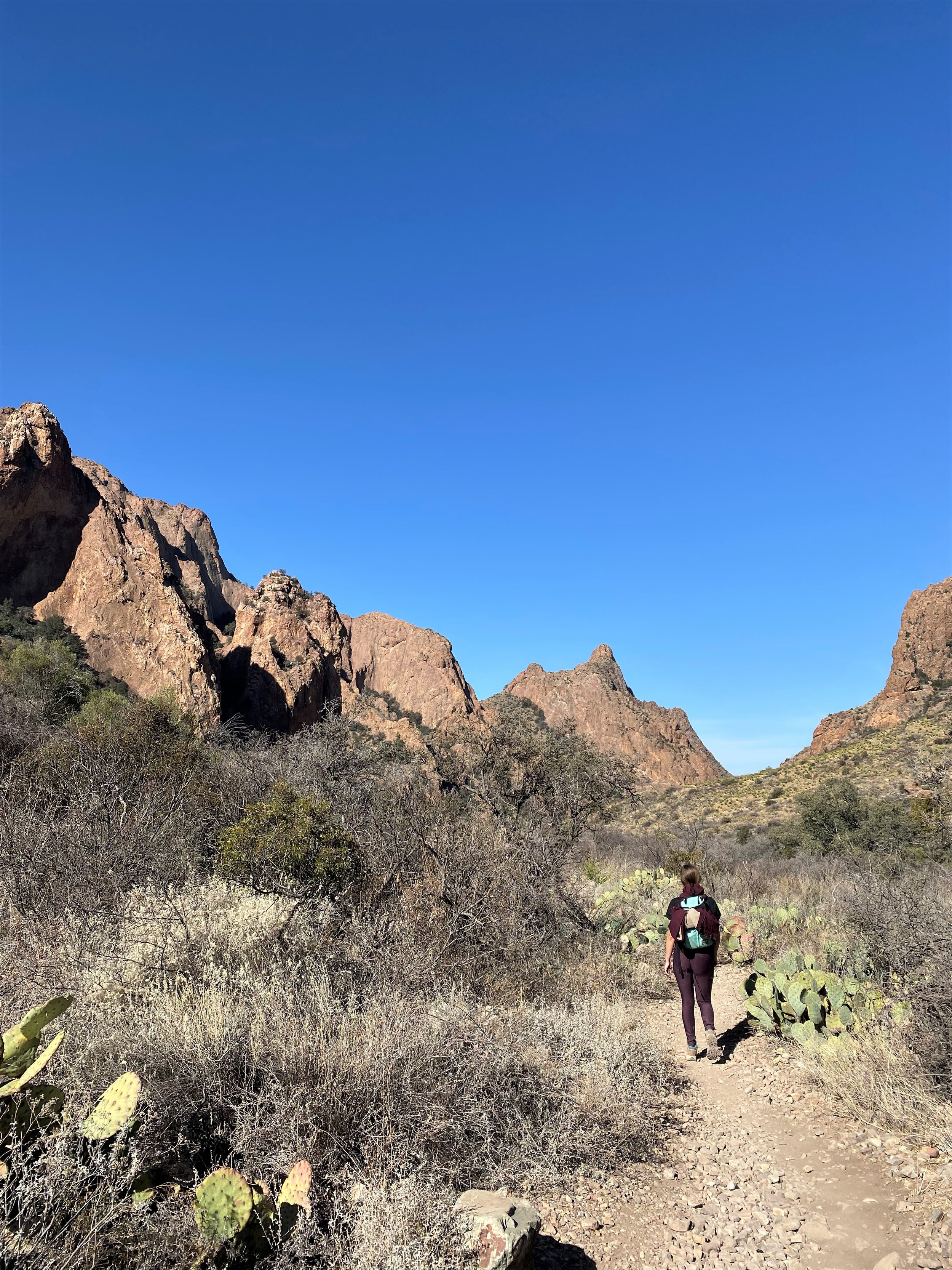 Hiking Big Bend National Park: The Window Trail - TRAVEL WITH MIKE & DEE