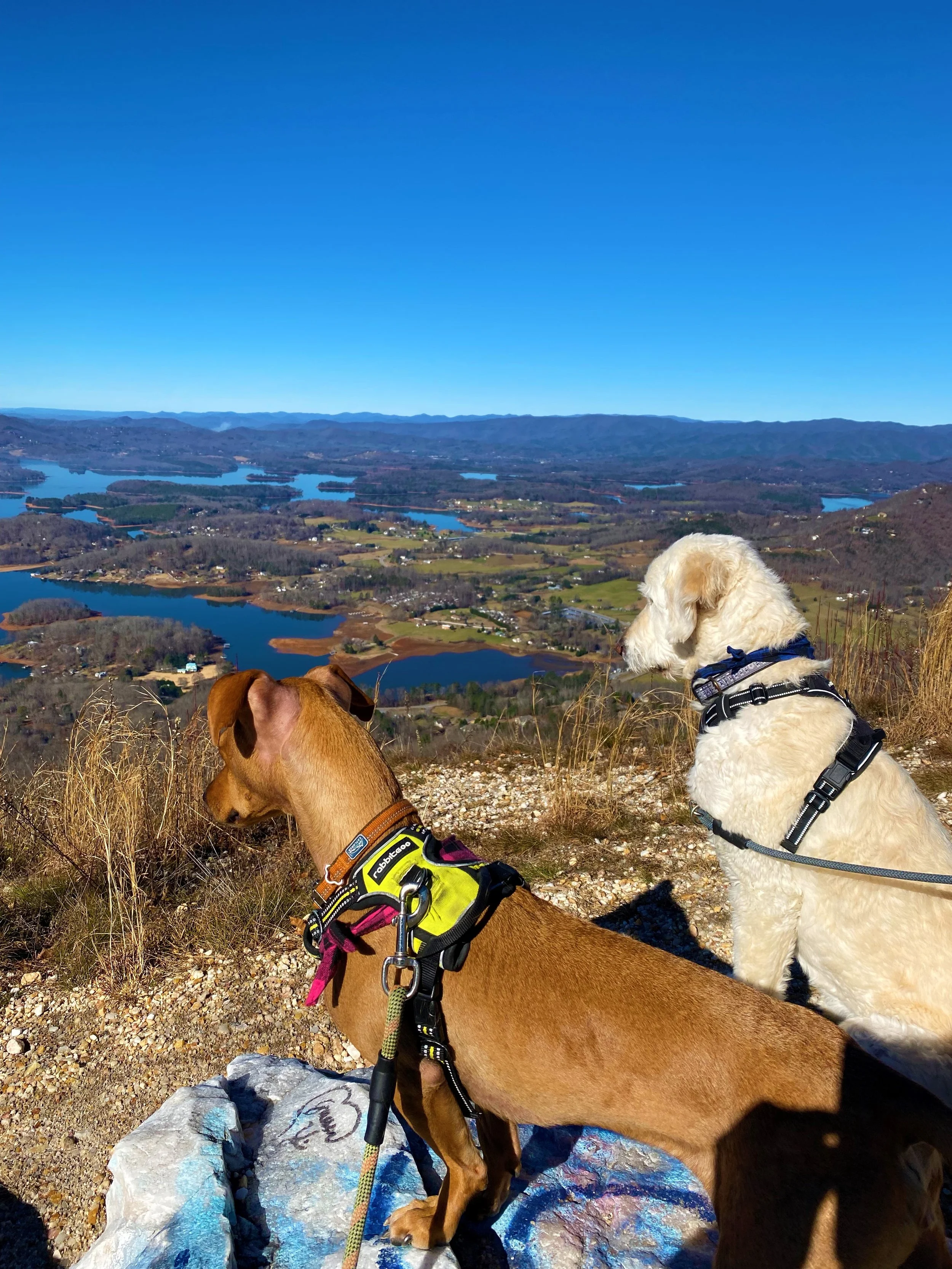 7 Beautiful Places to Visit in North Georgia - TRAVEL WITH MIKE & DEE