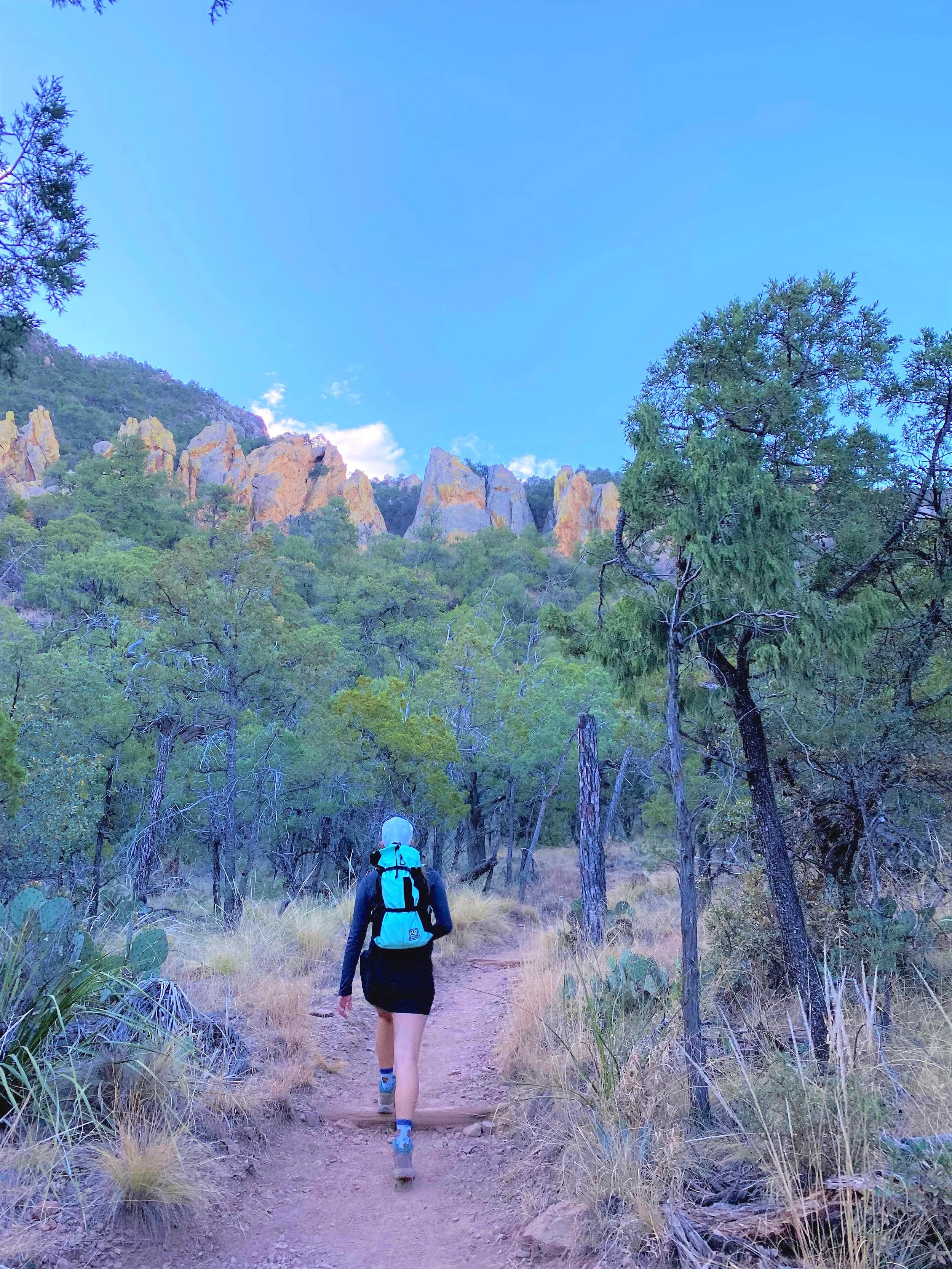 Hiking to the Highest Point in Big Bend: Emory Peak Trail - TRAVEL WITH ...