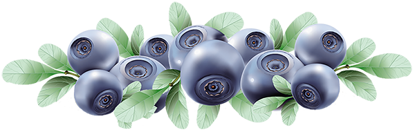 Marshall County Blueberry Festival