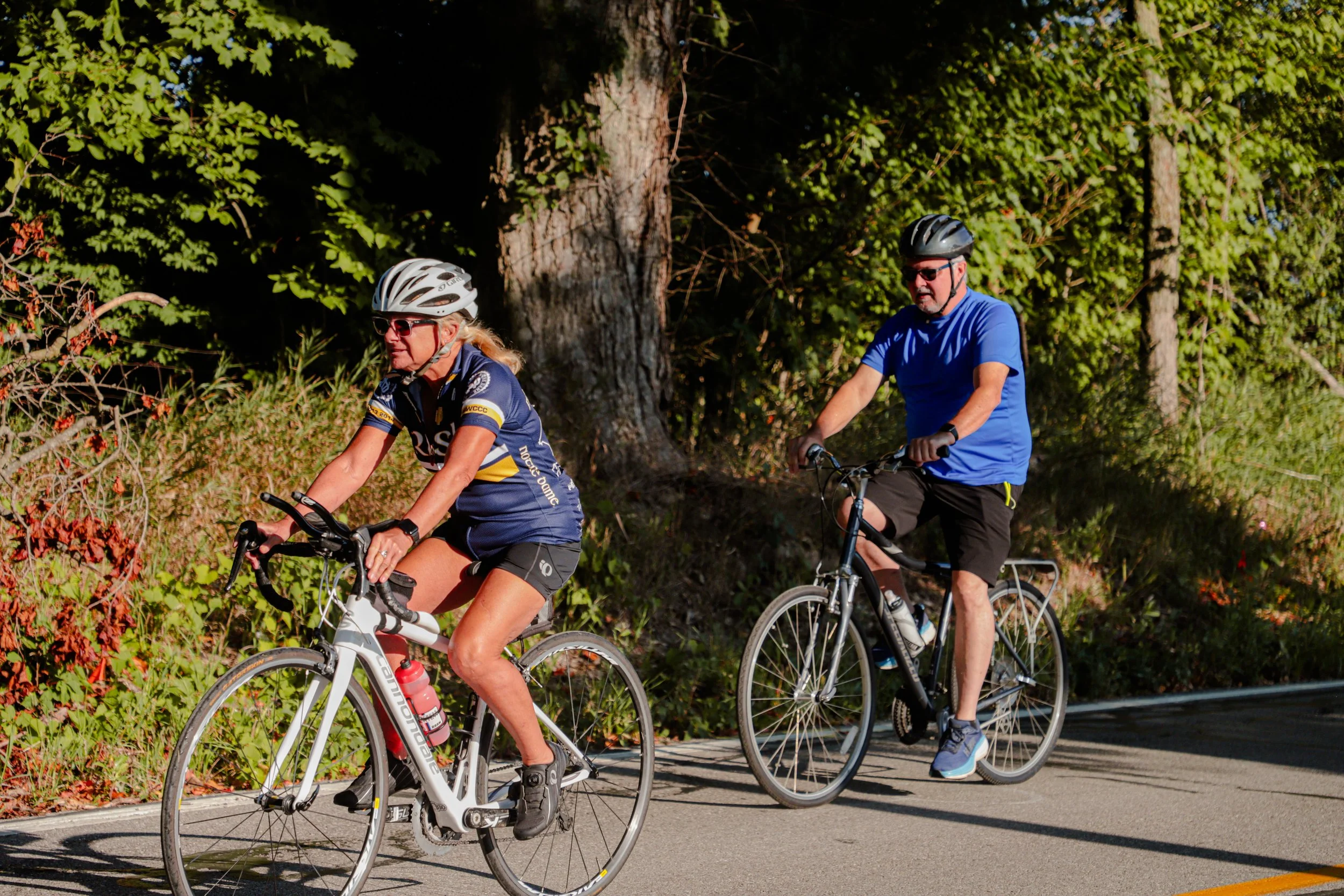 Bicycle Cruise — Marshall County Blueberry Festival