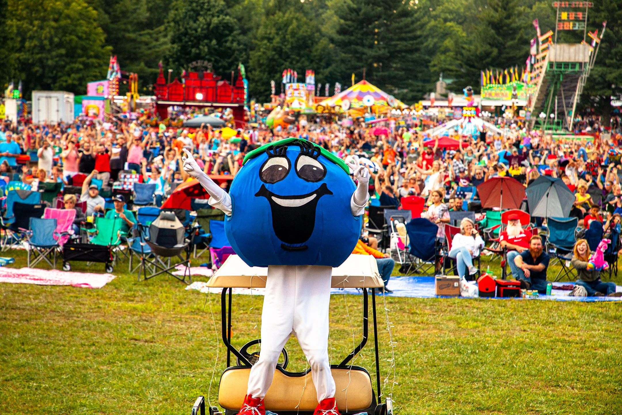 Bluebery Hank — Marshall County Blueberry Festival