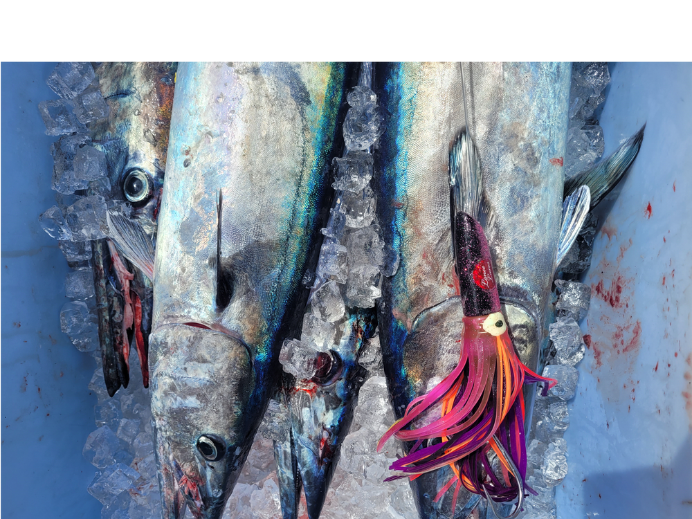 Lance Lures- Commercial-Grade Trolling Handlines and Lures
