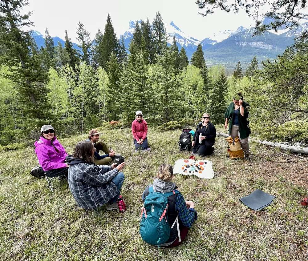 Sessions — NaturEscape Forest Therapy