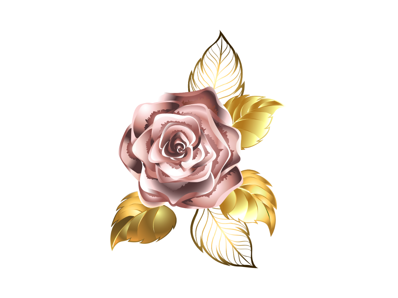 The GRACE Matrix™ by MARIA GRACE WOLK