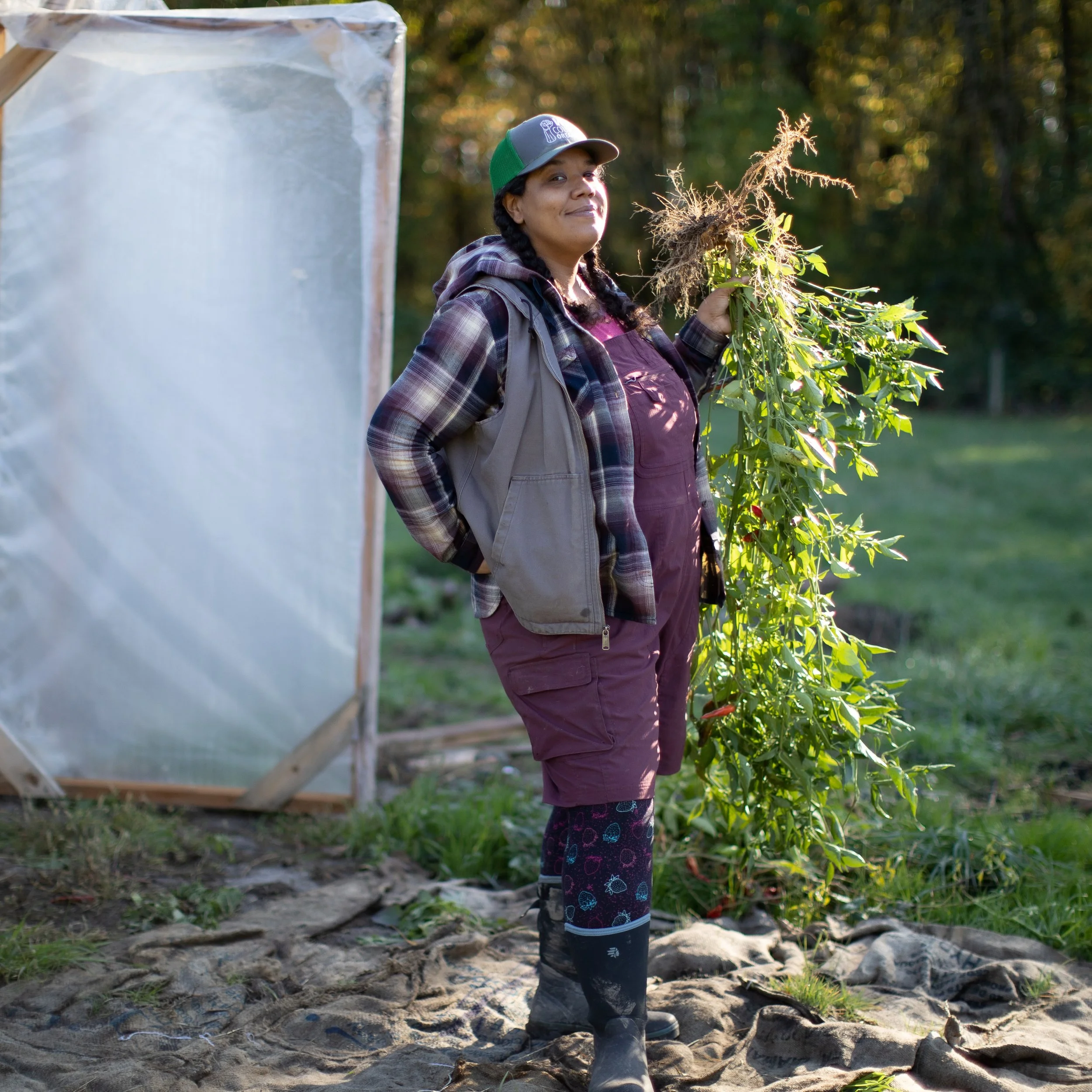 About Black Food Sovereignty Coalition — Black Food Sovereignty Coalition