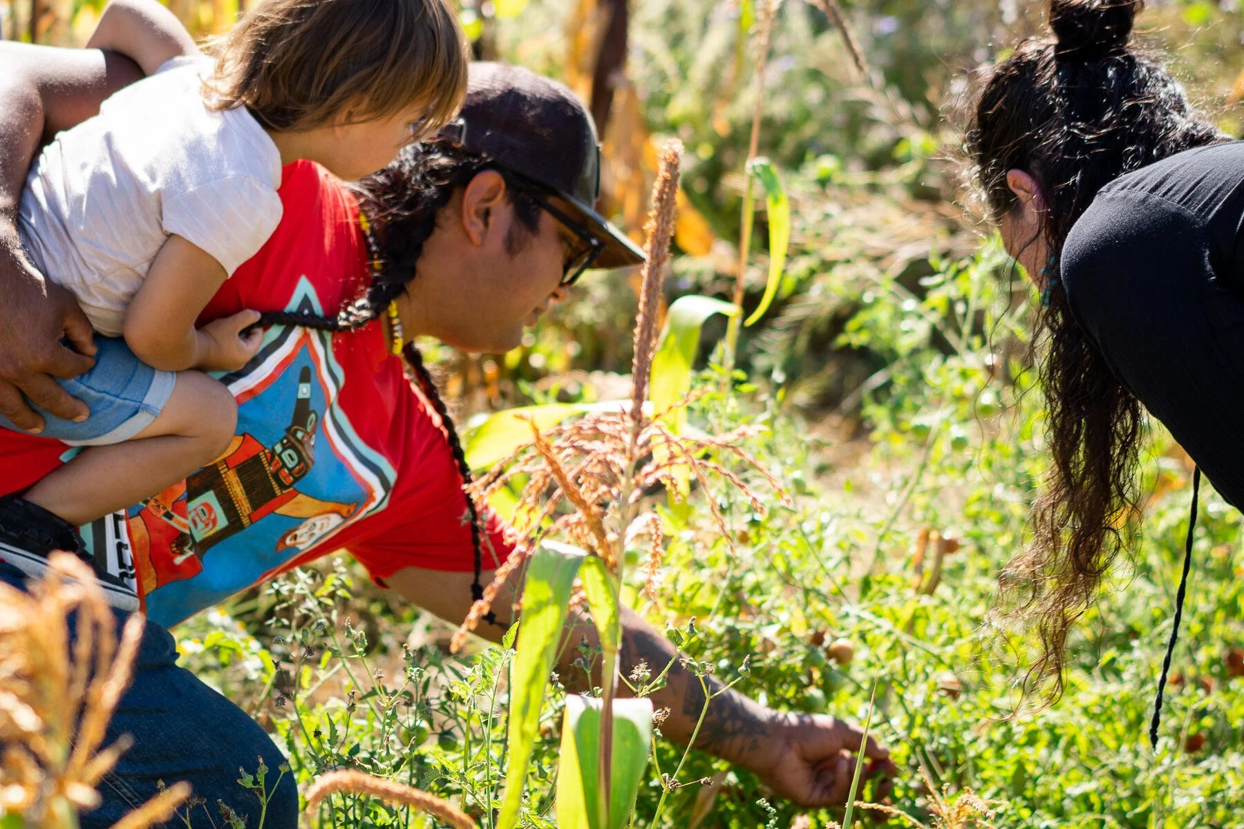 Farms — Black Food Sovereignty Coalition