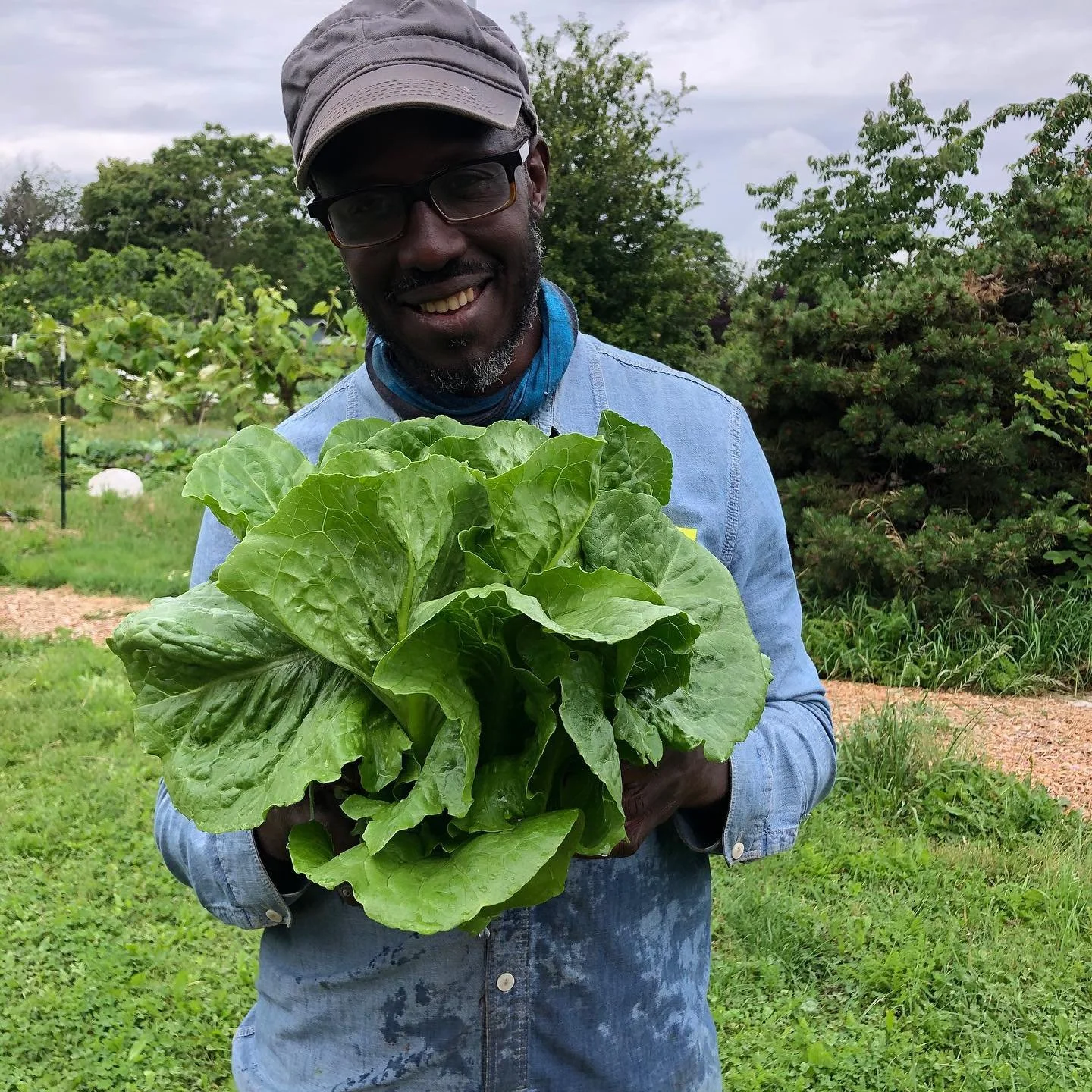 About Black Food Sovereignty Coalition — Black Food Sovereignty Coalition