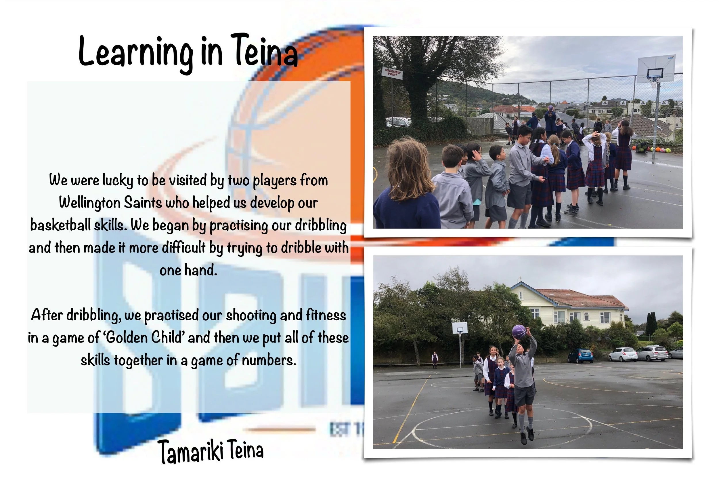 Updates — St Teresa's School