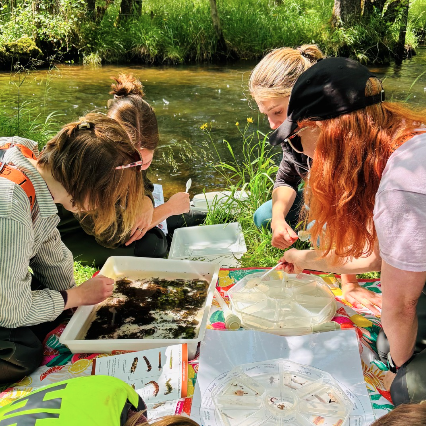 Summer sampling guidance — The Riverfly Partnership