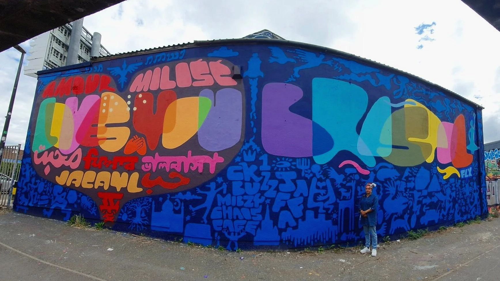 Felix FLX Braun Bristol UK