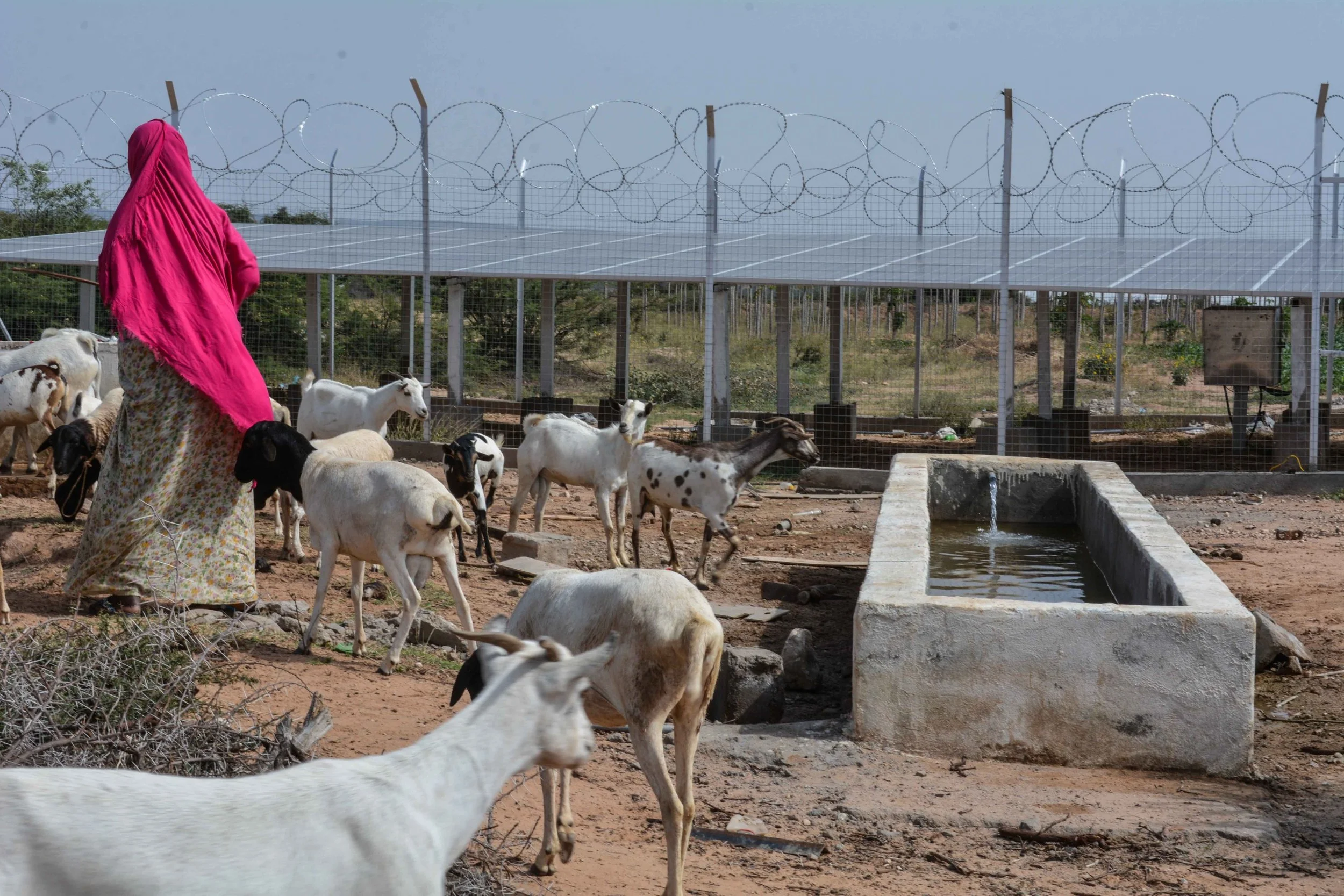 Solar powered borehole in Arabsiyo, Somaliland — SomReP