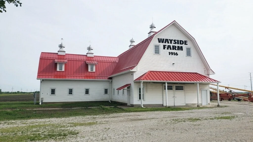 History of Wayside Farm — Wayside Farm Foundation