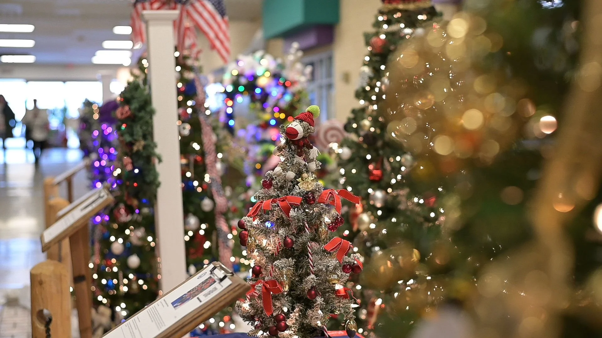 Festival of Trees — SLI • Success, Learning & inclusion