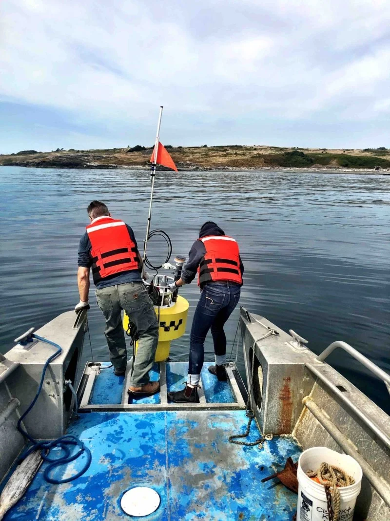 The Coastal Acoustic Buoy: a new tool for remote and real-time acoustic ...