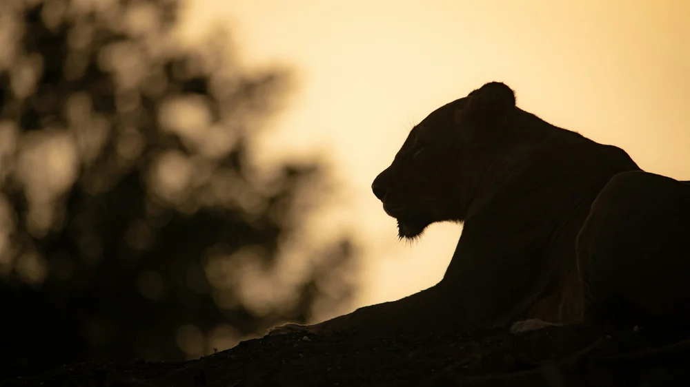 8 Ways to start making bold moves in your life — Luna Verde Consulting