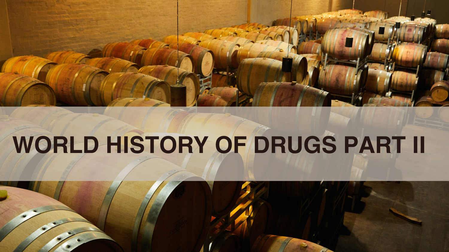 The World History of Drugs Part II — Motivational Consulting Inc.