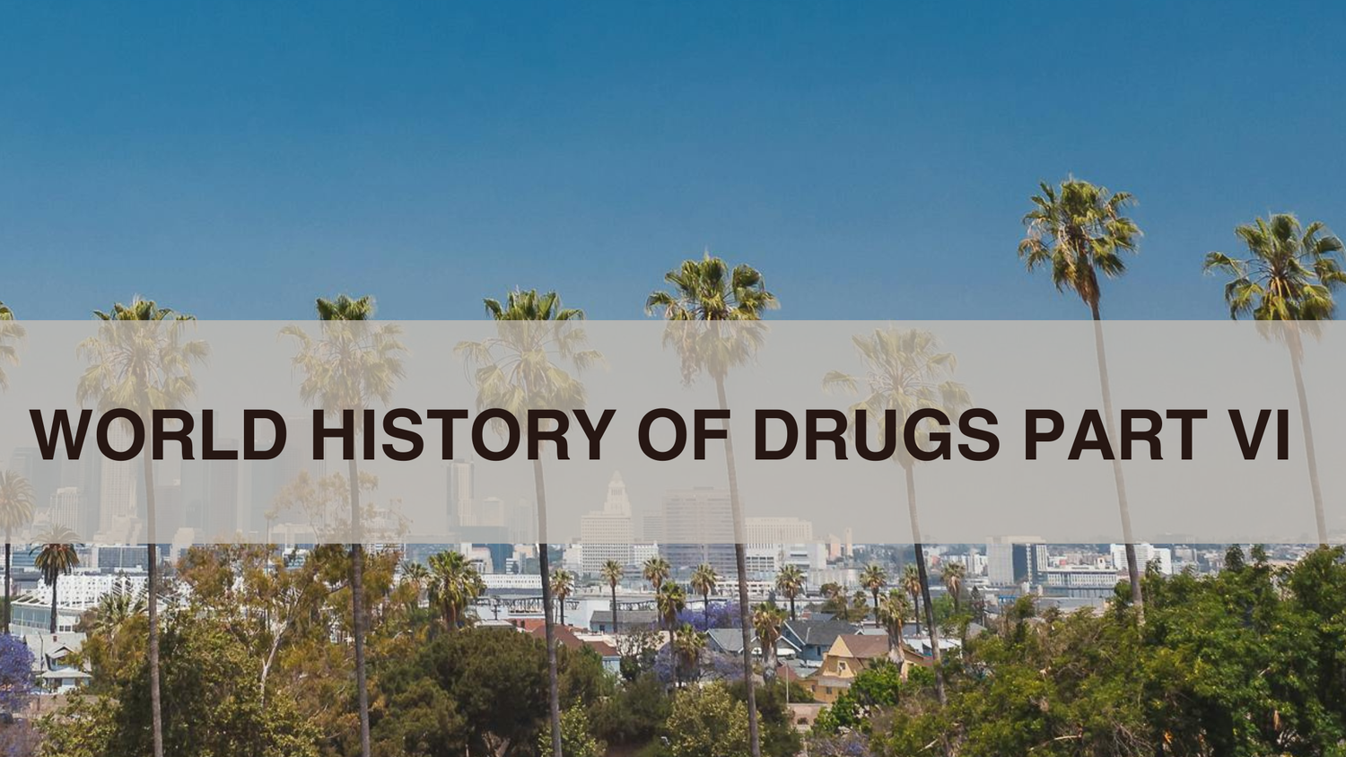 The World History of Drugs Part 6 — Motivational Consulting Inc.