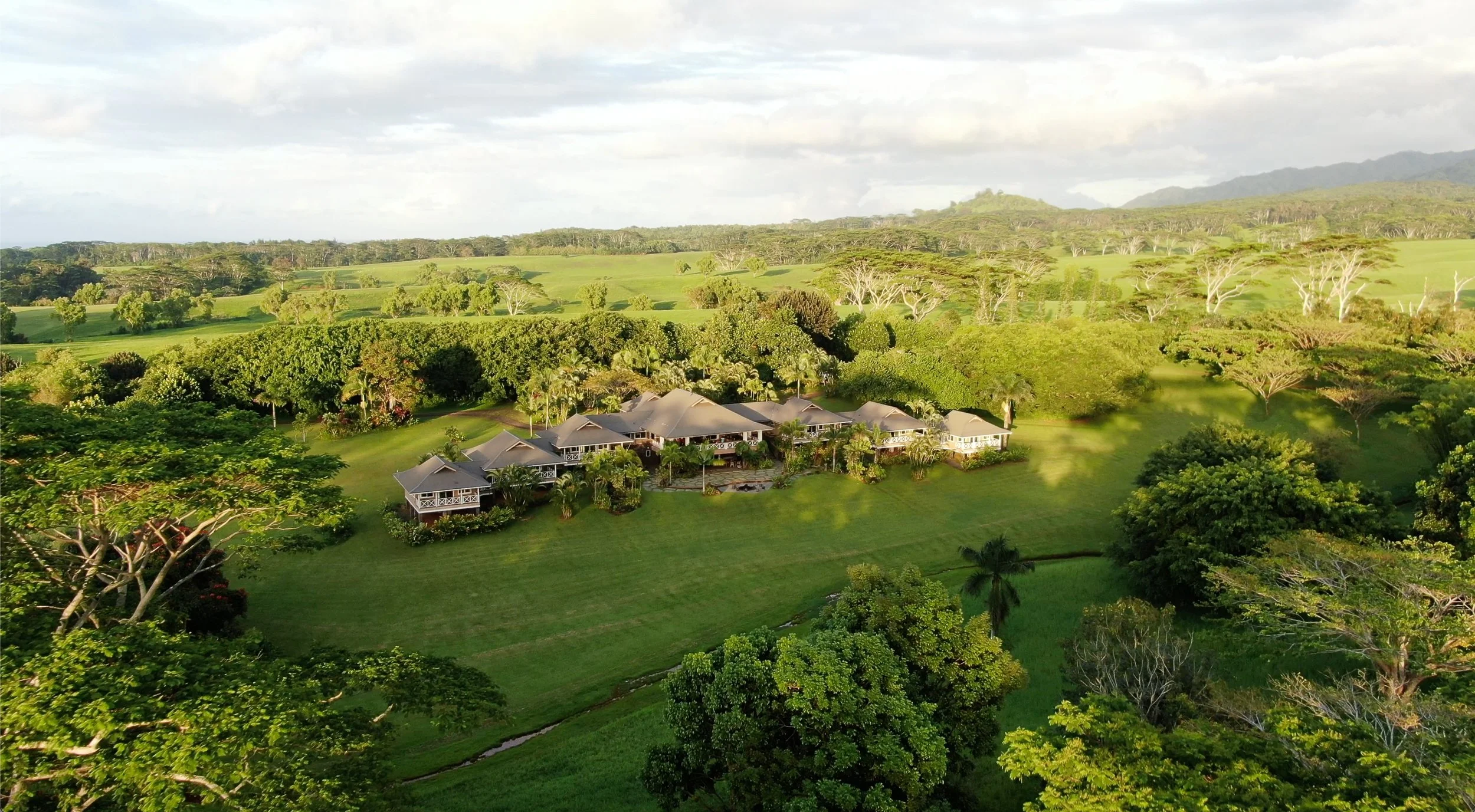 About — Makanalani Group