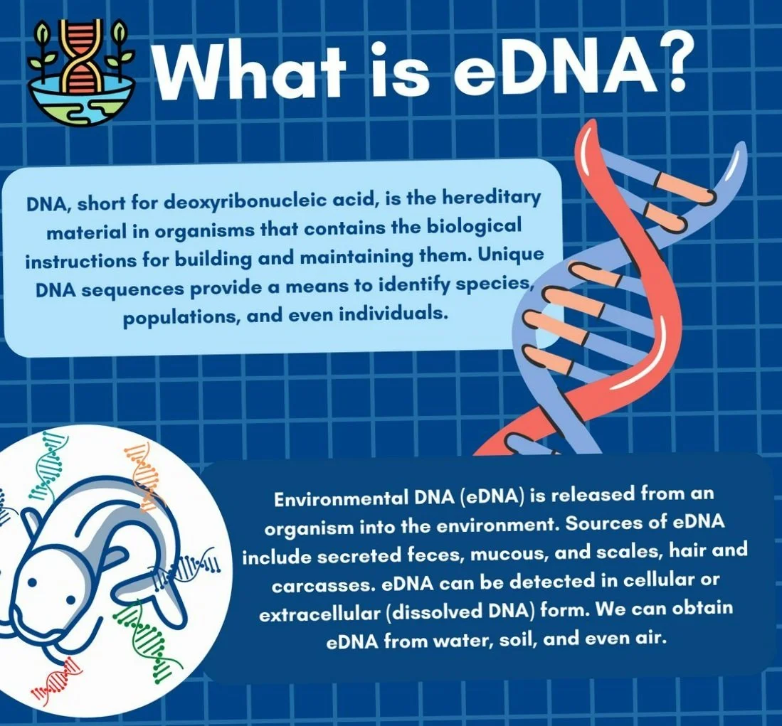 Connect and Learn — The eDNA Collaborative