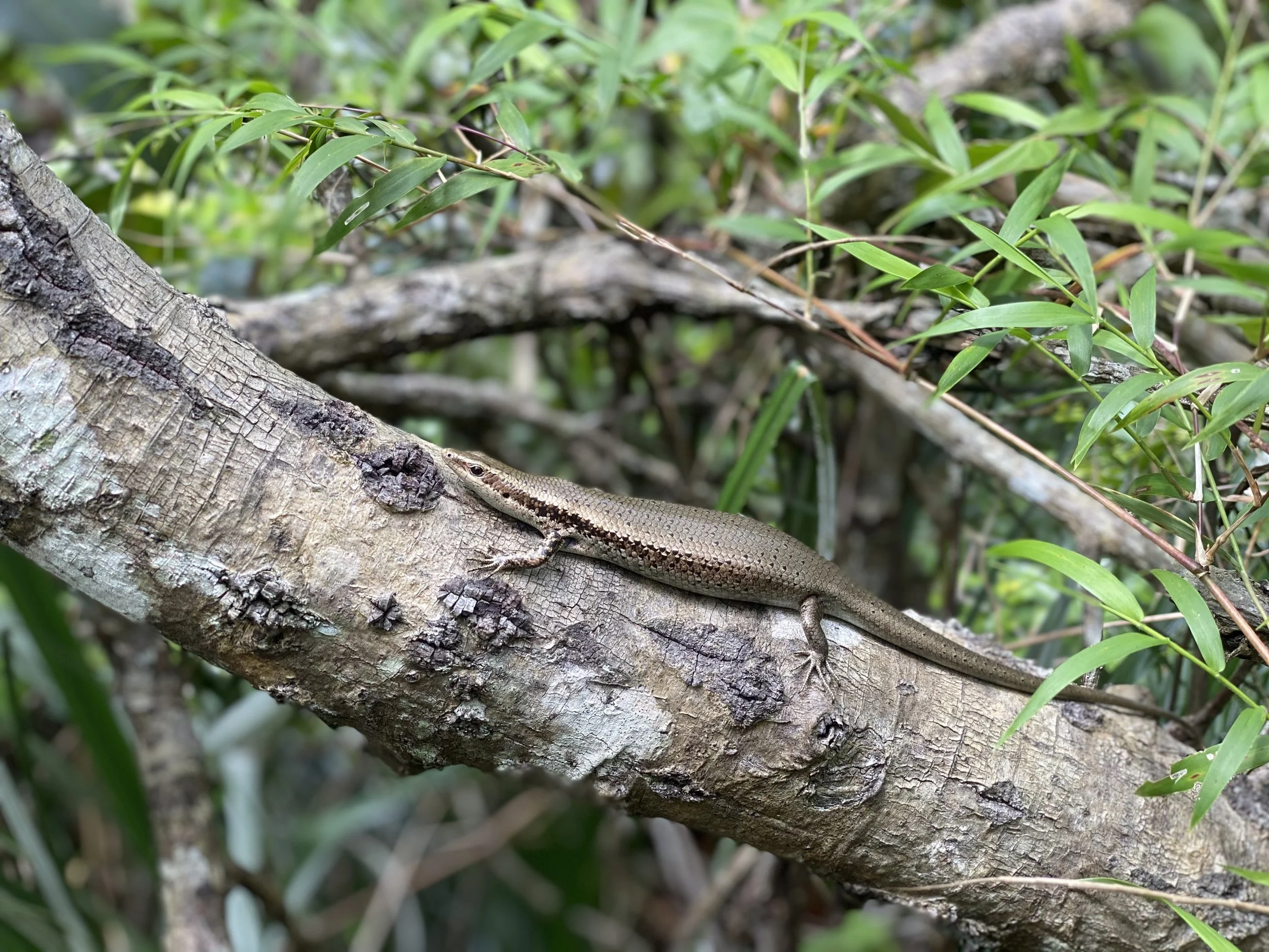 Microgrants Program — The eDNA Collaborative