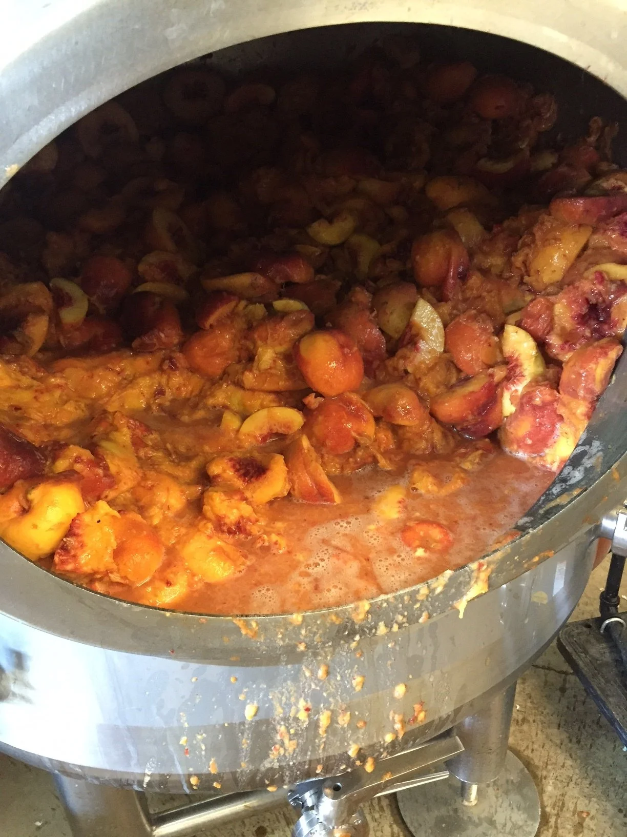 Get to know your beer: Shake Your Tree — Alesong Brewing & Blending