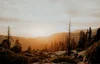 Mentor Program — Hope Journey Guide