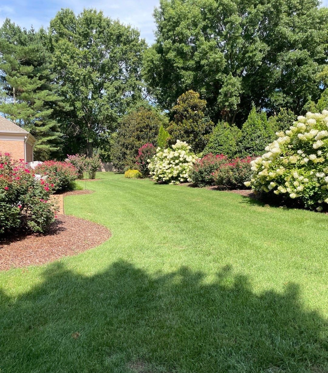 Maintain Your Greenery: Lawn Care Services in Hendersonville and ...