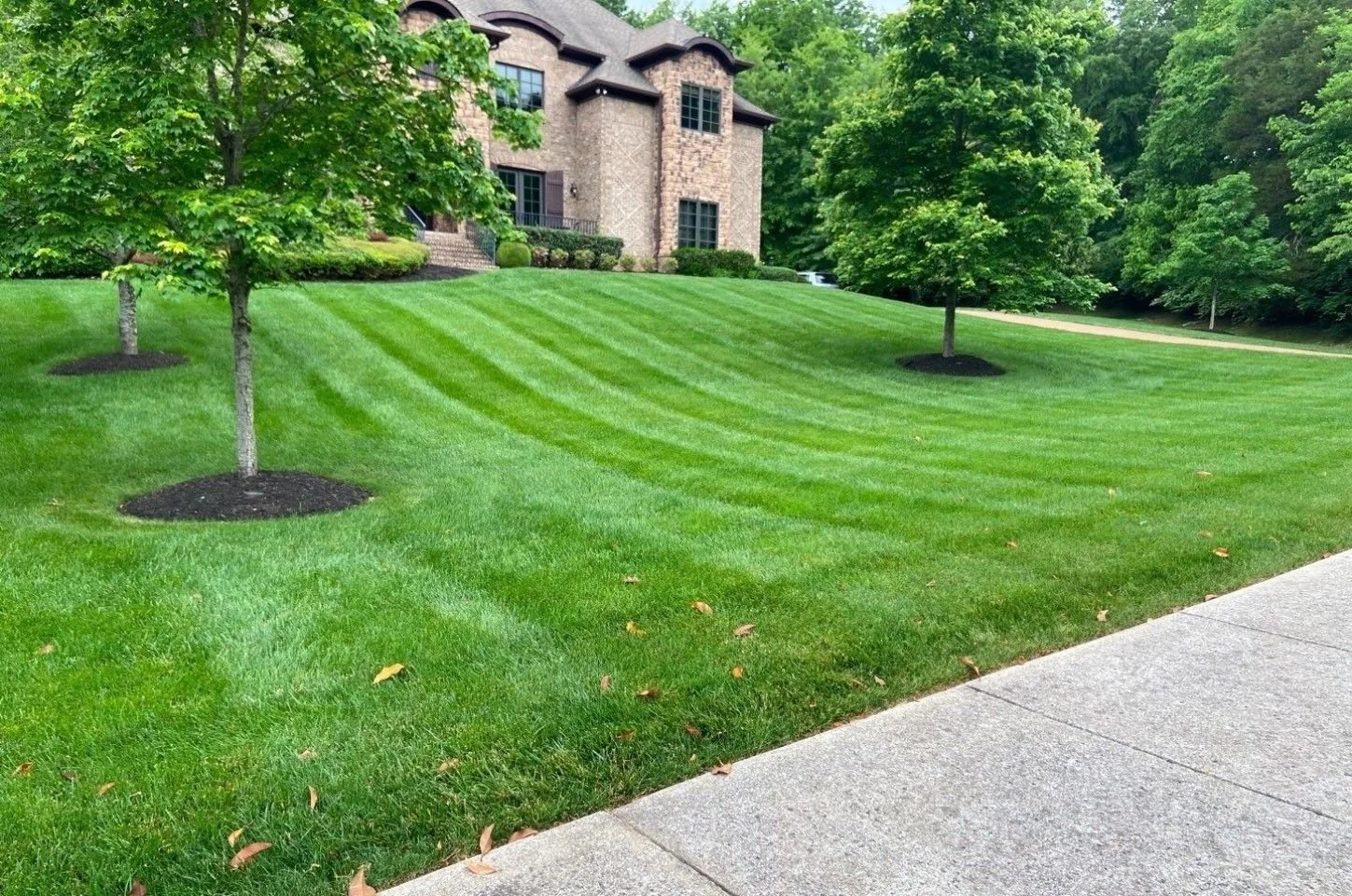 No More Searching! A Quick Guide for Exceptional Lawn Care Near Me in ...