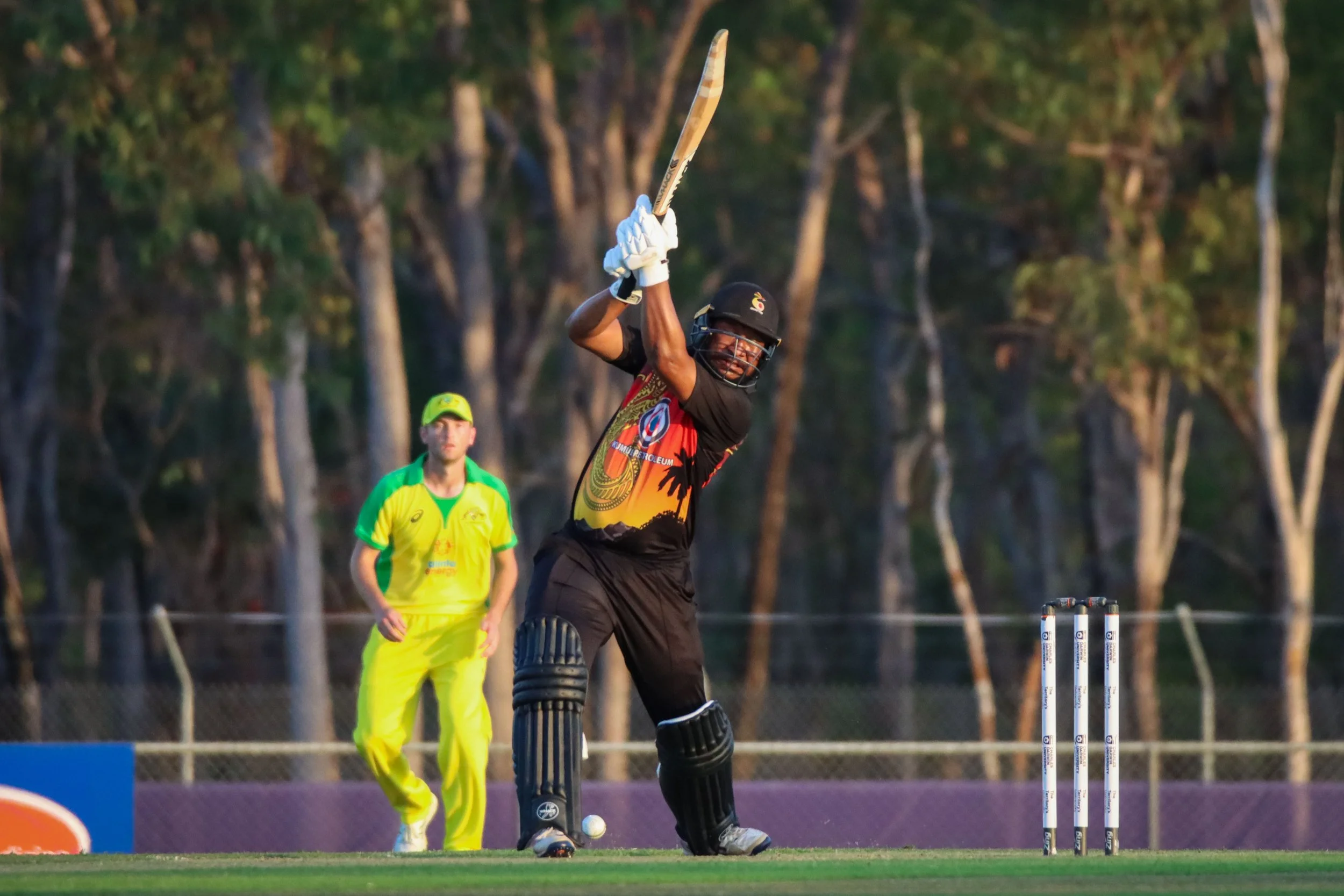 Cricket PNG