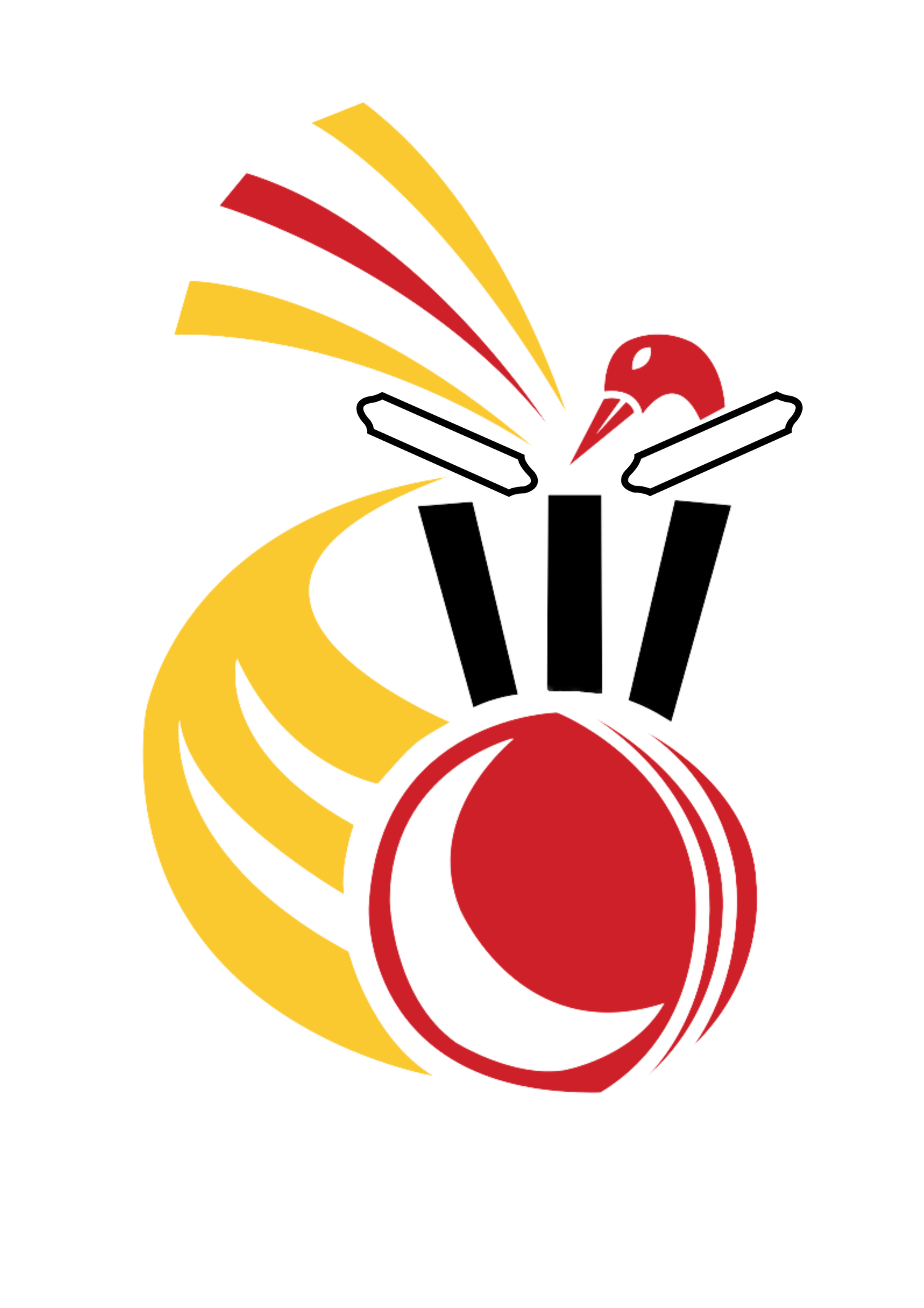 BRISBANE BRONCOS join BSP SCHOOL KRIKET AT AMINI PARK — Cricket PNG