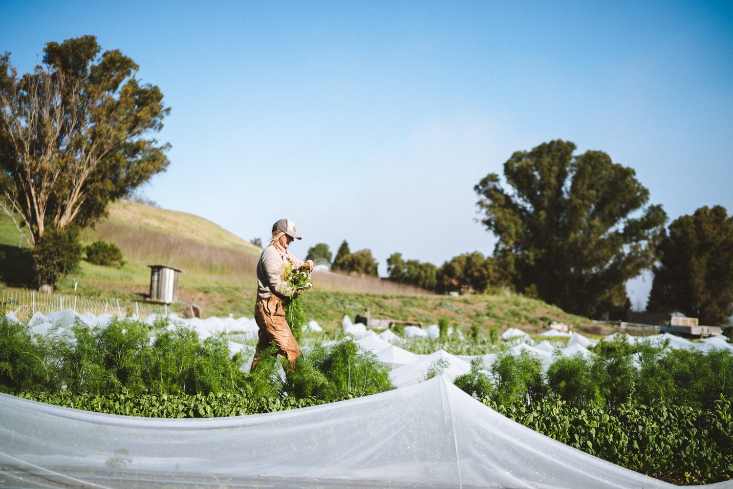 About the Farm — Harmony House