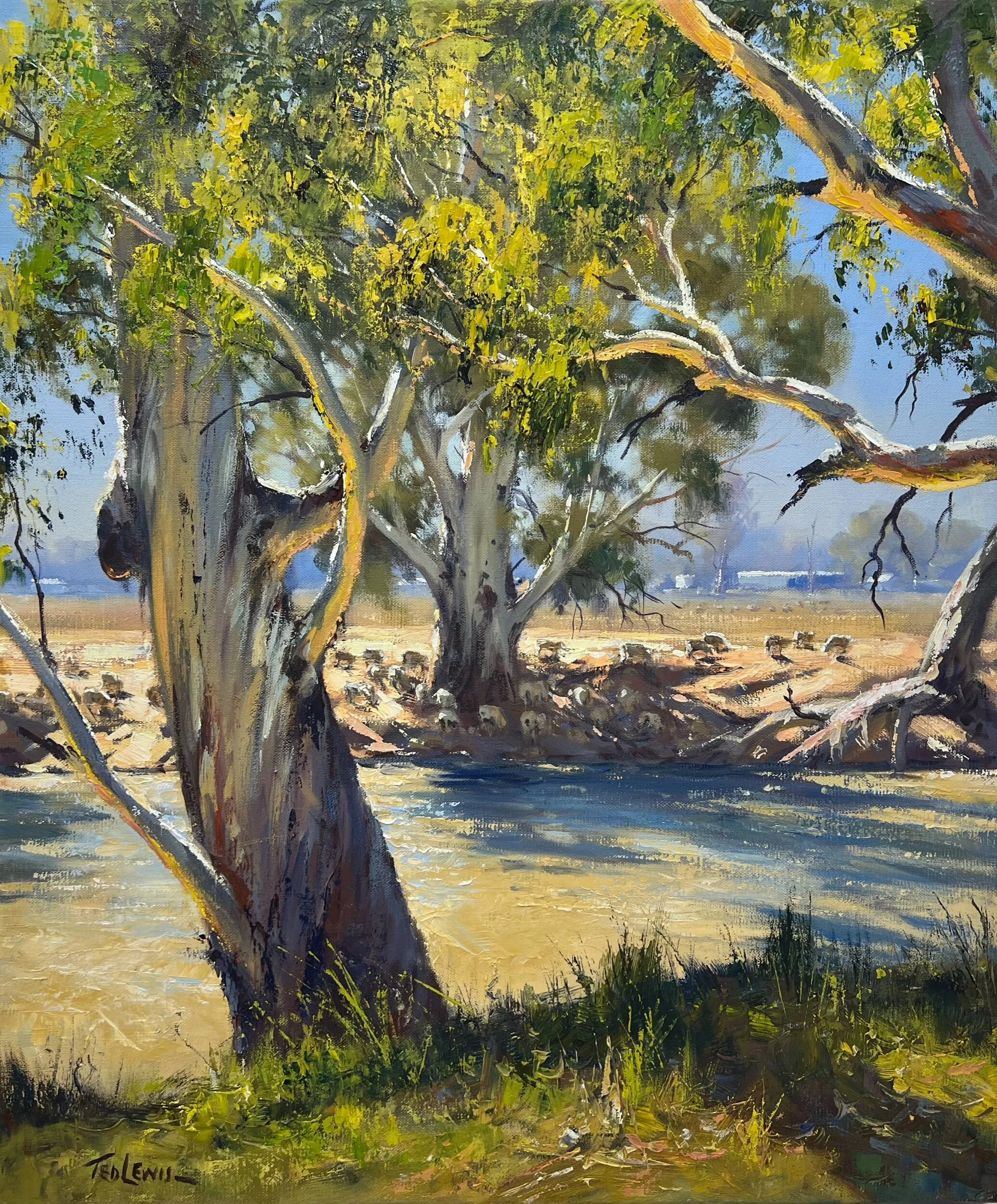 Robert Pengilley “Spring Blossom Michelago” — Aarwun Gallery